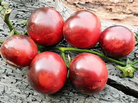 Томат Черная клубника: описание сорта, ОТЗЫВЫ (3), фото, урожайность ...