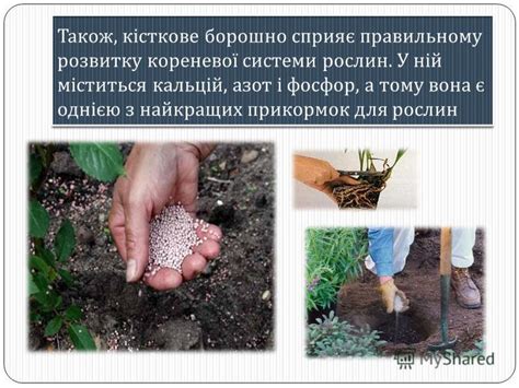 Презентация на тему: "Фосфатні добрива - це речовини, що містять фосфор ...