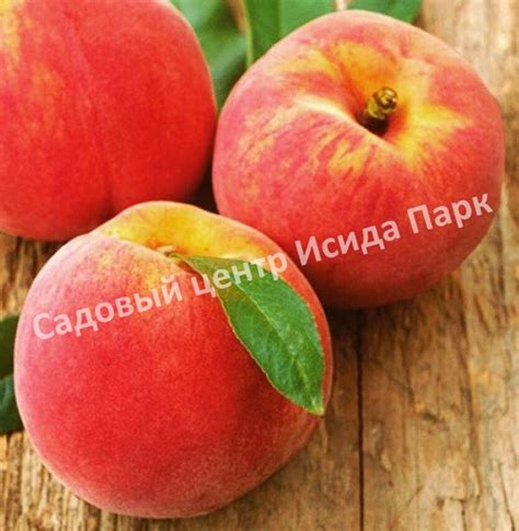 Персик колоновидный Золотой триумф саженцы купить в Москве и ...