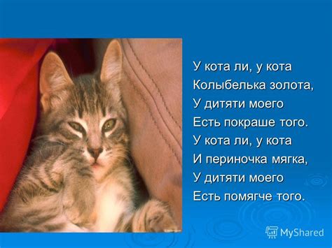 Презентация на тему: "Образ кошки в литературе, мифологии и фольклоре ...