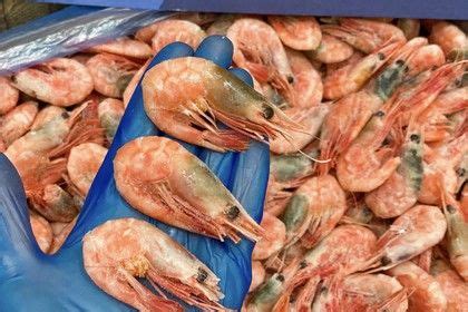 Креветки и лангустины — купить варено-мороженные креветки и ...