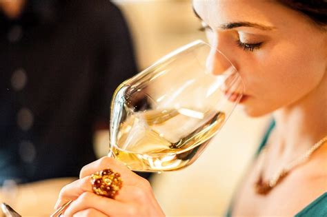 Вкус вина - Wine-cork . Характеристики винных напитков