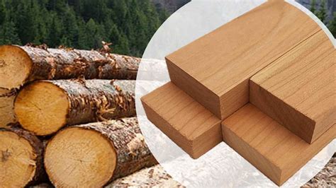 What Is Timber Wood Used For at Norman Marquis blog
