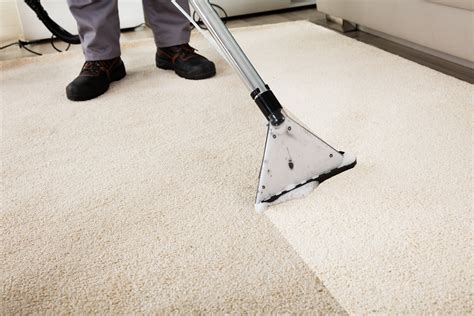 Top 3 reasons why to hire a professional carpet cleaner - Auburn Carpet