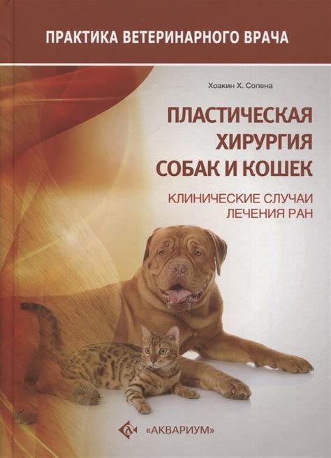 Дисплазия у собак: причины, признаки и симптомы, общие методы ...