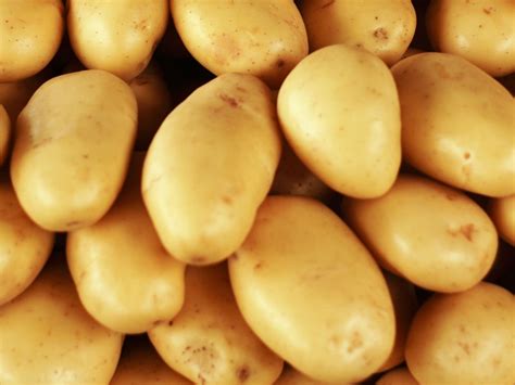 Bon à savoir: 10 variétés de pommes de terre (photo) - BENIN WEB TV