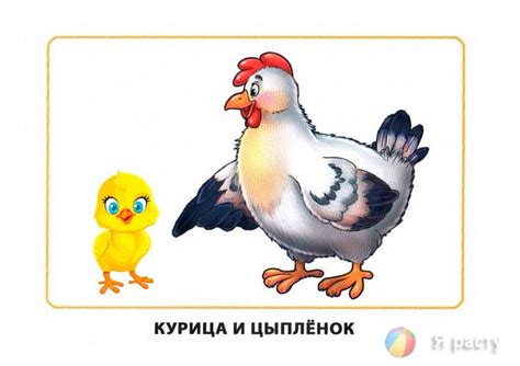 Мамы и дети. Карточки