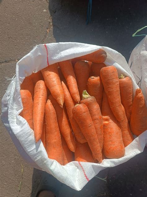 Морква молодая абако опт: 25 грн. - Продукты питания / напитки Николаев ...