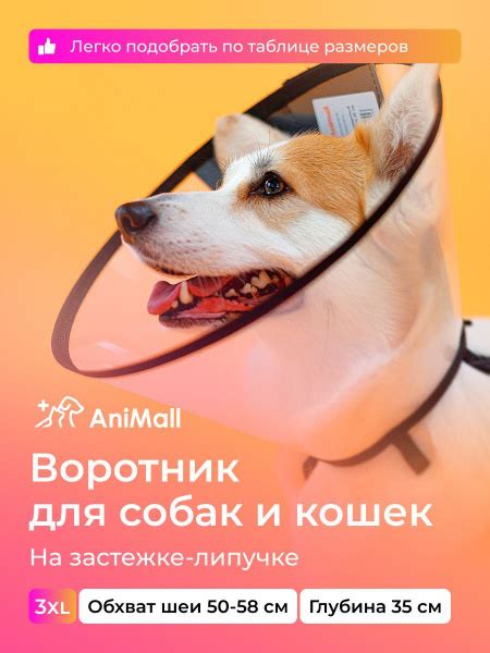 Воротник защитный ветеринарный для собак и кошек № 35 см, на липучке ...