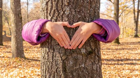 World Nature Protection Day