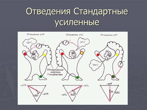 Анализ ЭКГ - презентация онлайн