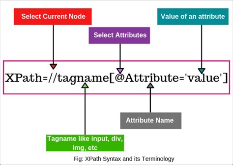 XPath Tutorial in Selenium WebDriver with Examples - Scientech Easy