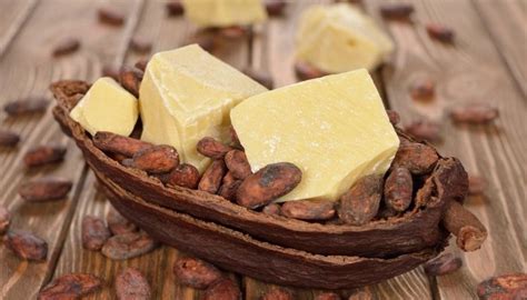 Масло какао: свойства и применение — Психология