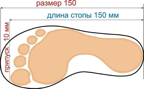 Размер ноги в сантиметрах: таблицы | LS