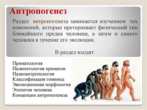 Антропология, как наука - презентация онлайн