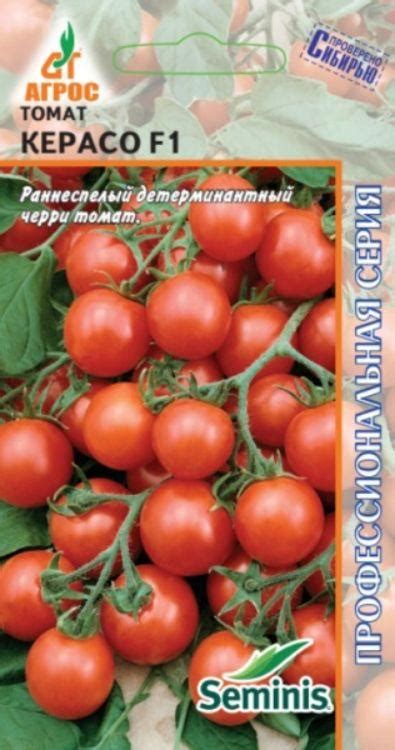 Золотая сотка алтая