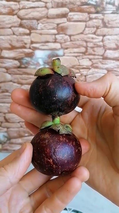 Мангостин мангостан #мангостин #фрукт #фрукторианство #веган # ...
