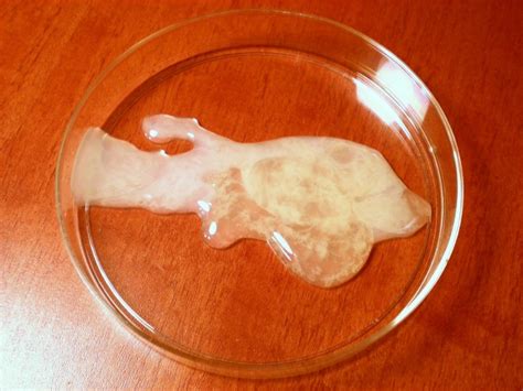 What Does Sperm Taste Like? - TSMP Medical Blog