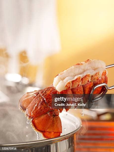 Boiling Lobster Photos and Premium High Res Pictures - Getty Images