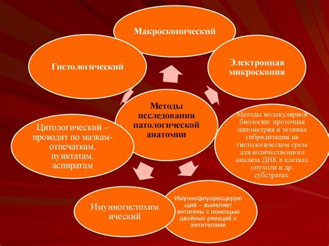 Патологическая анатомия, ее значение в развитии ветеринарной науки и ...