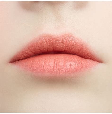 KRYGINA cosmetics :: Кремовый пигмент Concrete Peach жидкие румяна ...