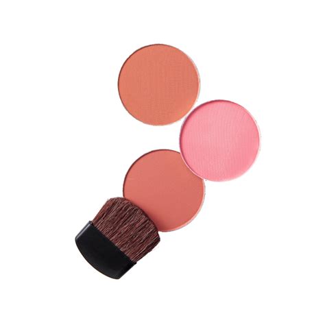 Powder Blush manufacturer | Seny Beauty
