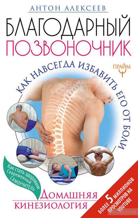 Благодарный позвоночник. Как навсегда избавить его от боли. Домашняя ...