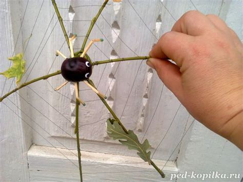 Паучок. Для сына в детсад