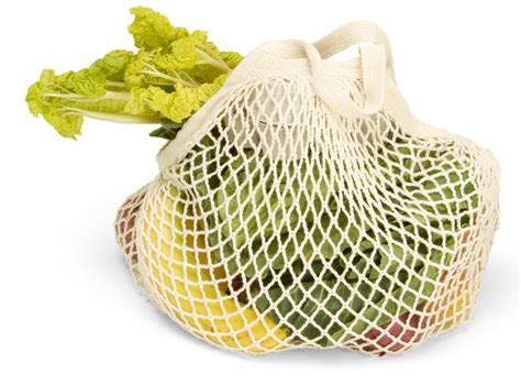 Turtle Bags