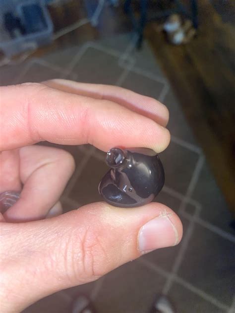 Tangzu Zetian Wu : r/headphonemods