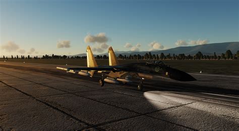 Su-27: Swedish AF (Fictional)