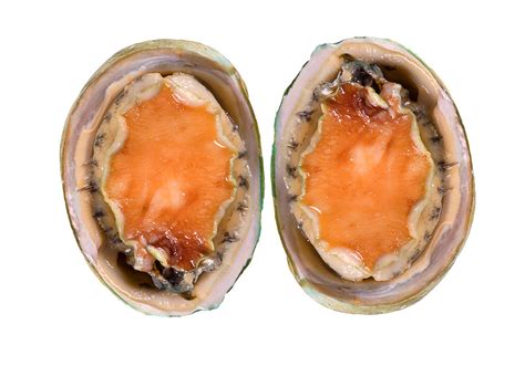 Awabi Abalone | Krustentiere & Muscheln | Tiefkühlwaren | Kagerer & Co ...