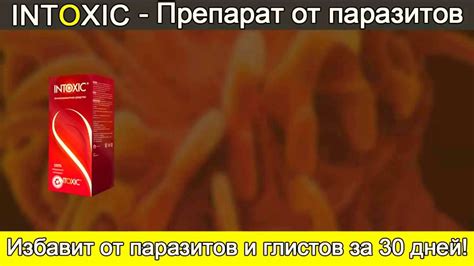 Интоксик от паразитов - Отзывы - YouTube