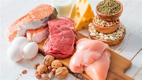 Высокобелковые продукты: список пищевых продуктов, богатых белком