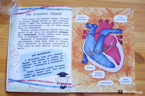 Книга: Почему сердце стучит? - Вера Иванова. Купить книгу, читать ...