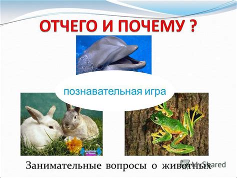 Презентация на тему: "Занимательные вопросы о животных познавательная ...