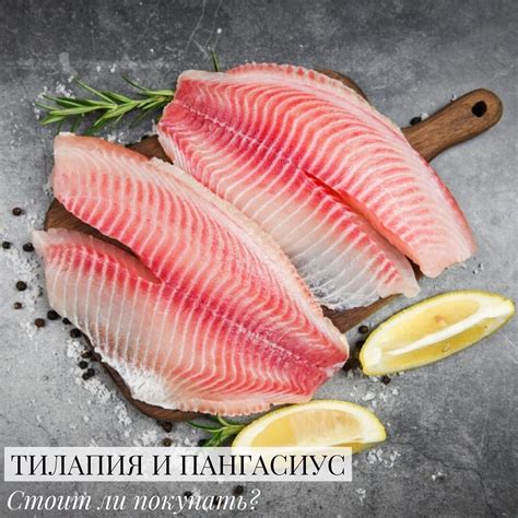Тилапия и Пангасиус – «мусорная рыба». Стоит ли покупать? | fish2o ...