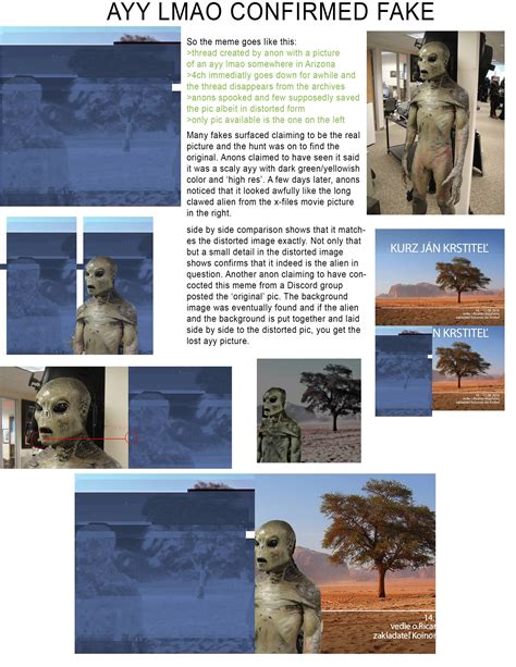 Domniemane zdjęcie reptilianina pojawiło się na forum 4chan | innemedium.pl