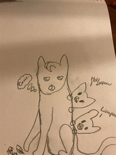Jaypaw by Timberwolftigershark on DeviantArt