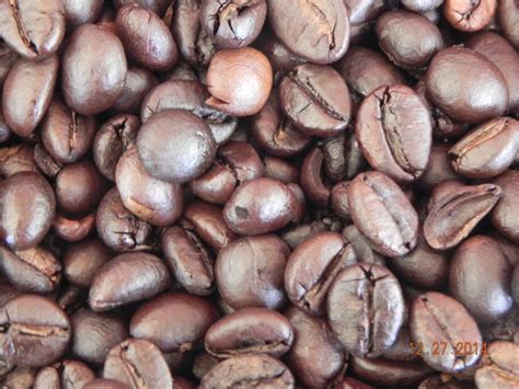 Organic Civet Coffee at best price in Madikeri by Rainforest Retreat ...
