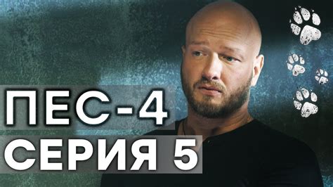 Сериал ПЕС - 4 сезон - 5 серия - ВСЕ СЕРИИ смотреть онлайн | СЕРИАЛЫ ...