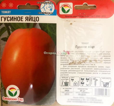 О томате гусиное яйцо: описание сорта, характеристики помидоров, посев