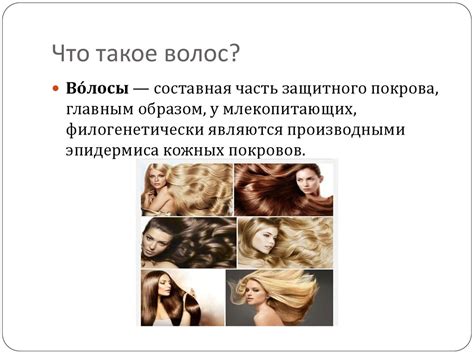 Технология косметических услуг. «Рост и развитие волоса» - презентация ...