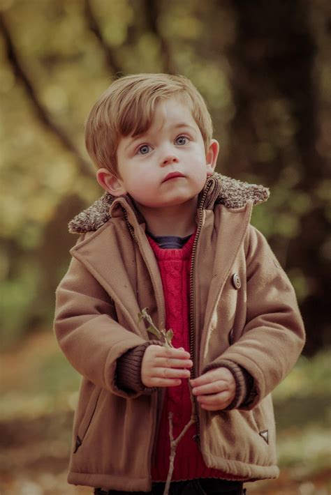 Free photo: Little boy - Boy, Male, Young - Free Download - Jooinn