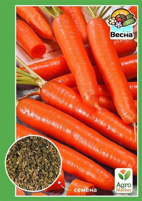 Морковь "Сладкая зимняя" (Новый пакет) ТМ "Весна" 2г купить почтой в ...